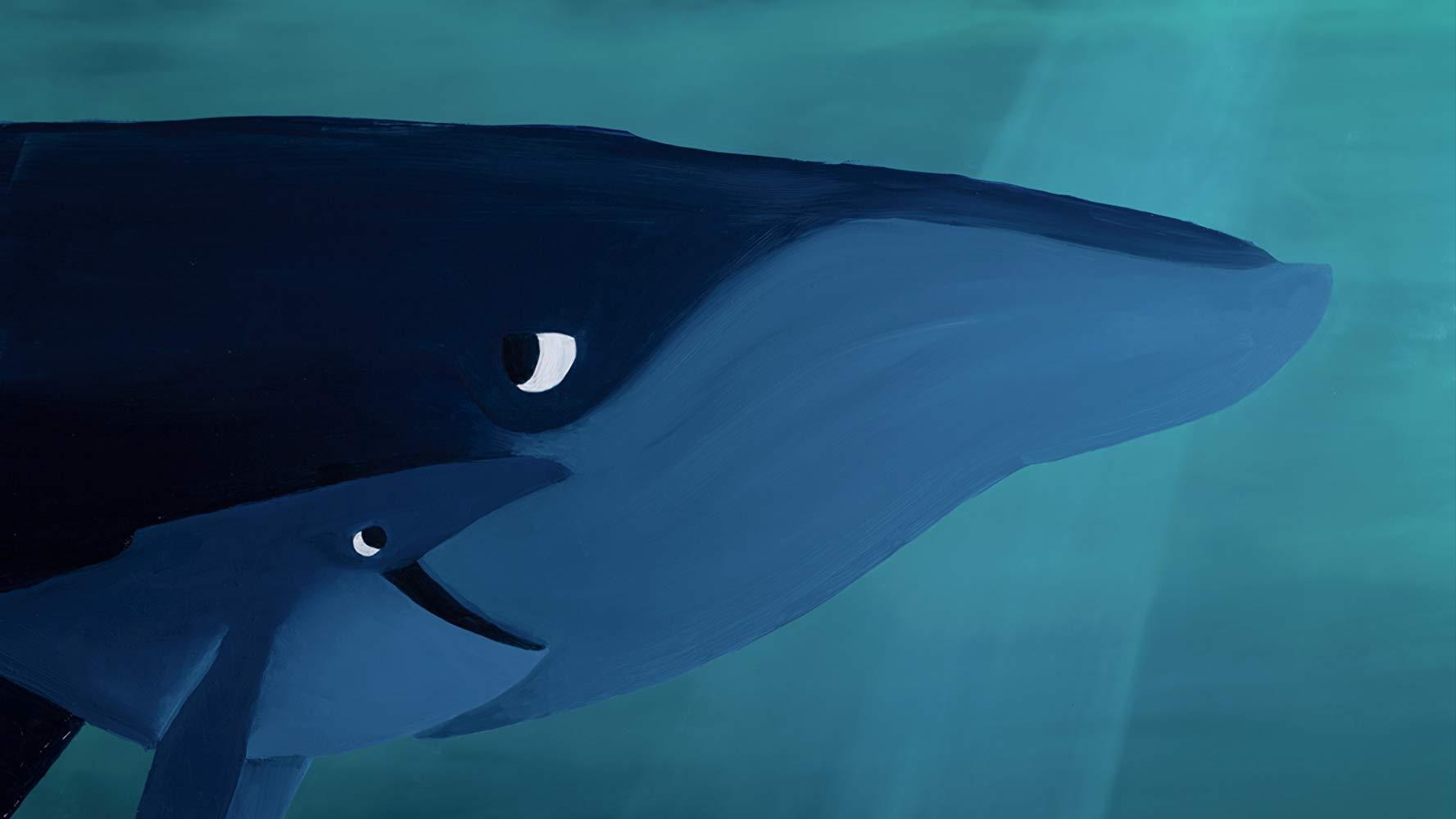 Sección visual de El pájaro y la ballena (C) - FilmAffinity