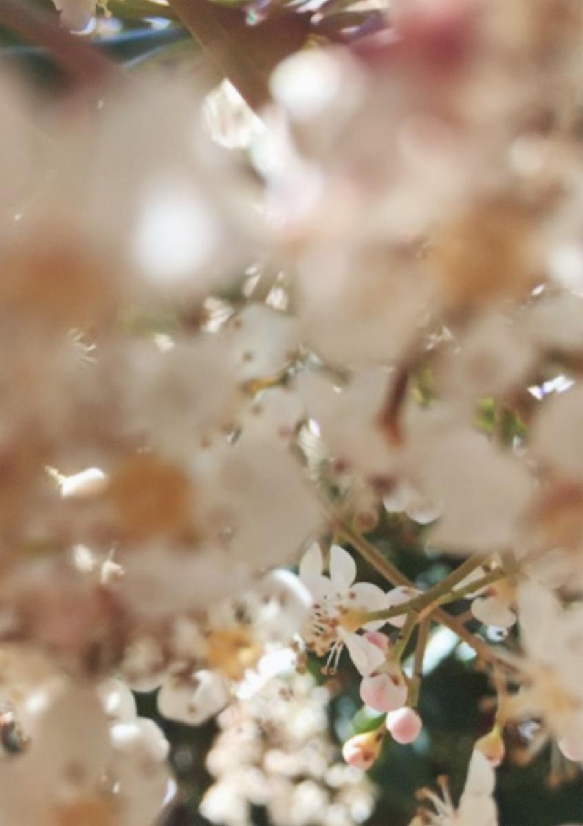 Image gallery for Ember Days (S) - FilmAffinity