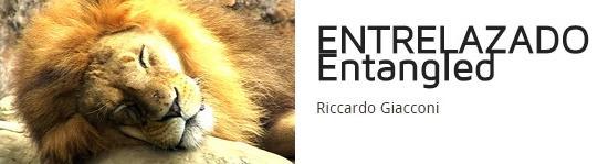 Image gallery for Entangled - FilmAffinity