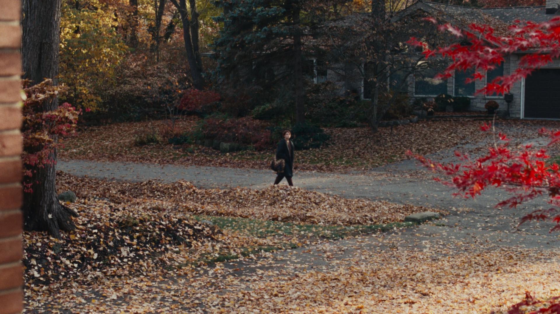 Sección visual de Esto va a doler - FilmAffinity