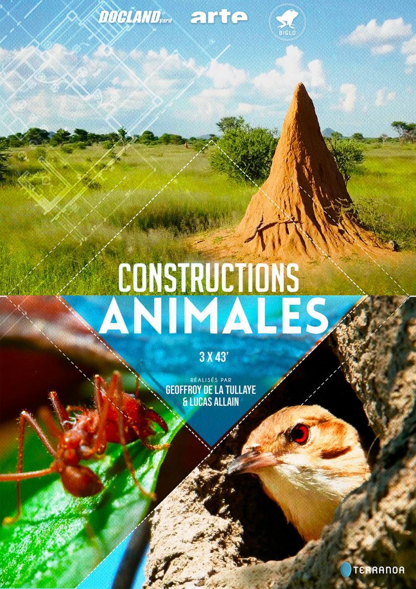 Sección visual de Estructuras animales (Serie de TV) - FilmAffinity