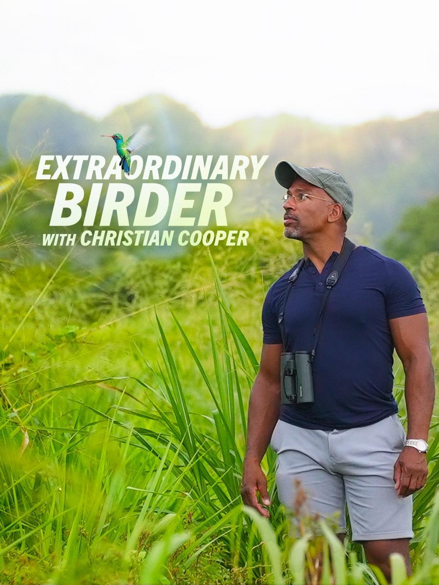Image gallery for Extraordinary Birder with Christian Cooper (TV Series) - FilmAffinity