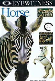 Image gallery for Eyewitness (TV Series) - FilmAffinity