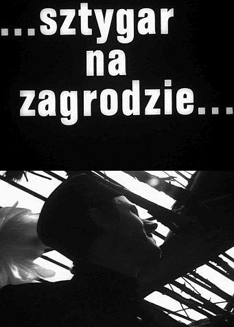 Image gallery for FOREMAN ON A FARM (S) - FilmAffinity