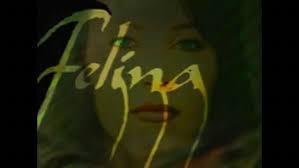 Image gallery for Felina (TV Series) - FilmAffinity