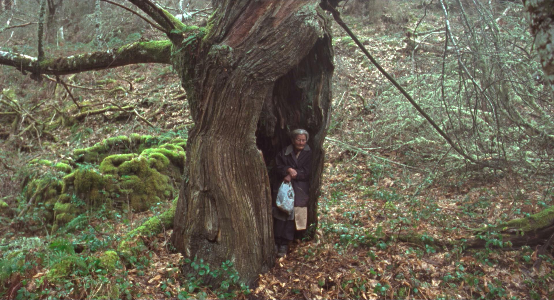 Image gallery for Fire Will Come - FilmAffinity