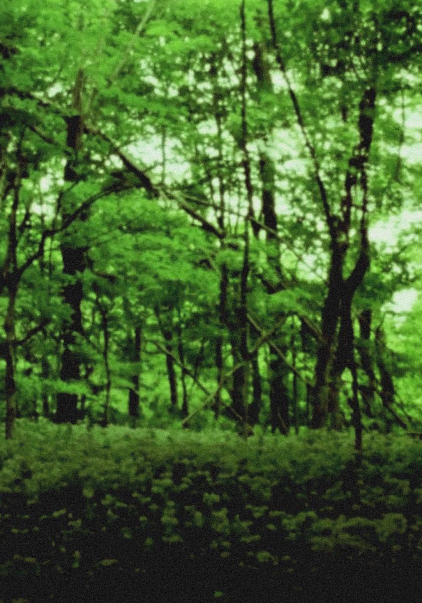 Sección visual de Fish Point (C) - FilmAffinity