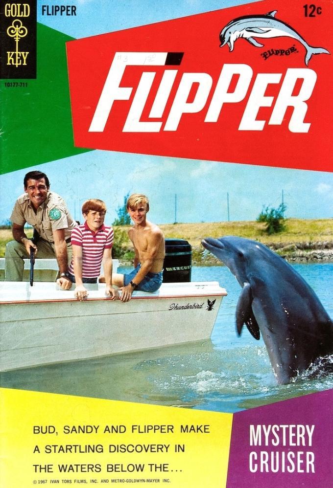 Sección visual de Flipper (Serie de TV) - FilmAffinity