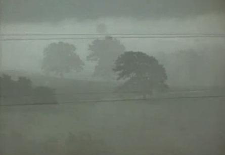 Image gallery for Fog Line (S) - FilmAffinity