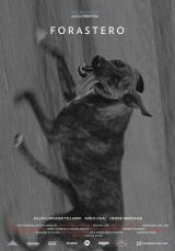 Forastero (2015) - FilmAffinity
