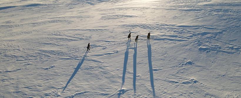 Image gallery for Freeze - FilmAffinity