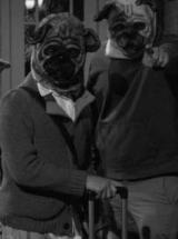 Frenchies (C) (2017) - FilmAffinity