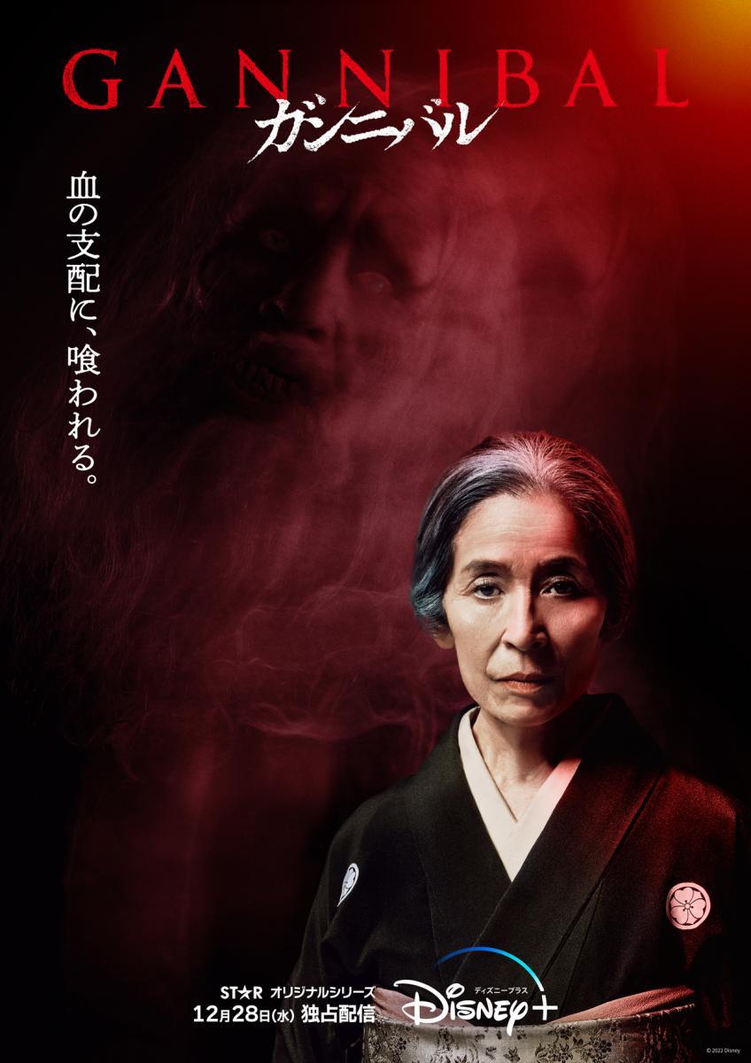 Sección visual de Gannibal (Serie de TV) - FilmAffinity