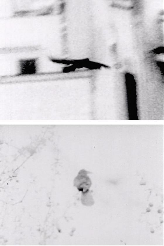 Sección visual de Gavran (C) - FilmAffinity