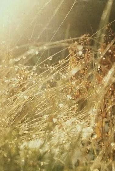 Image gallery for Go - FilmAffinity