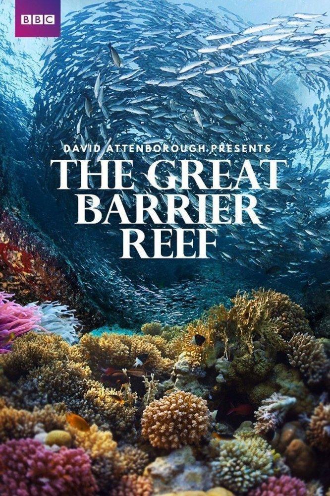 Image gallery for Great Barrier Reef with David Attenborough (TV ...