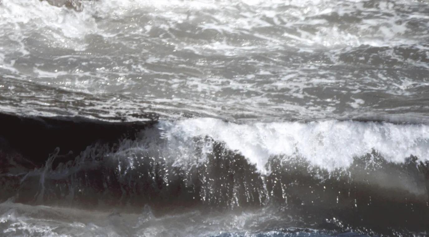 Sección visual de Green Wave (C) - FilmAffinity