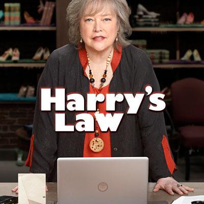 Image gallery for Harry's Law (TV Series) - FilmAffinity
