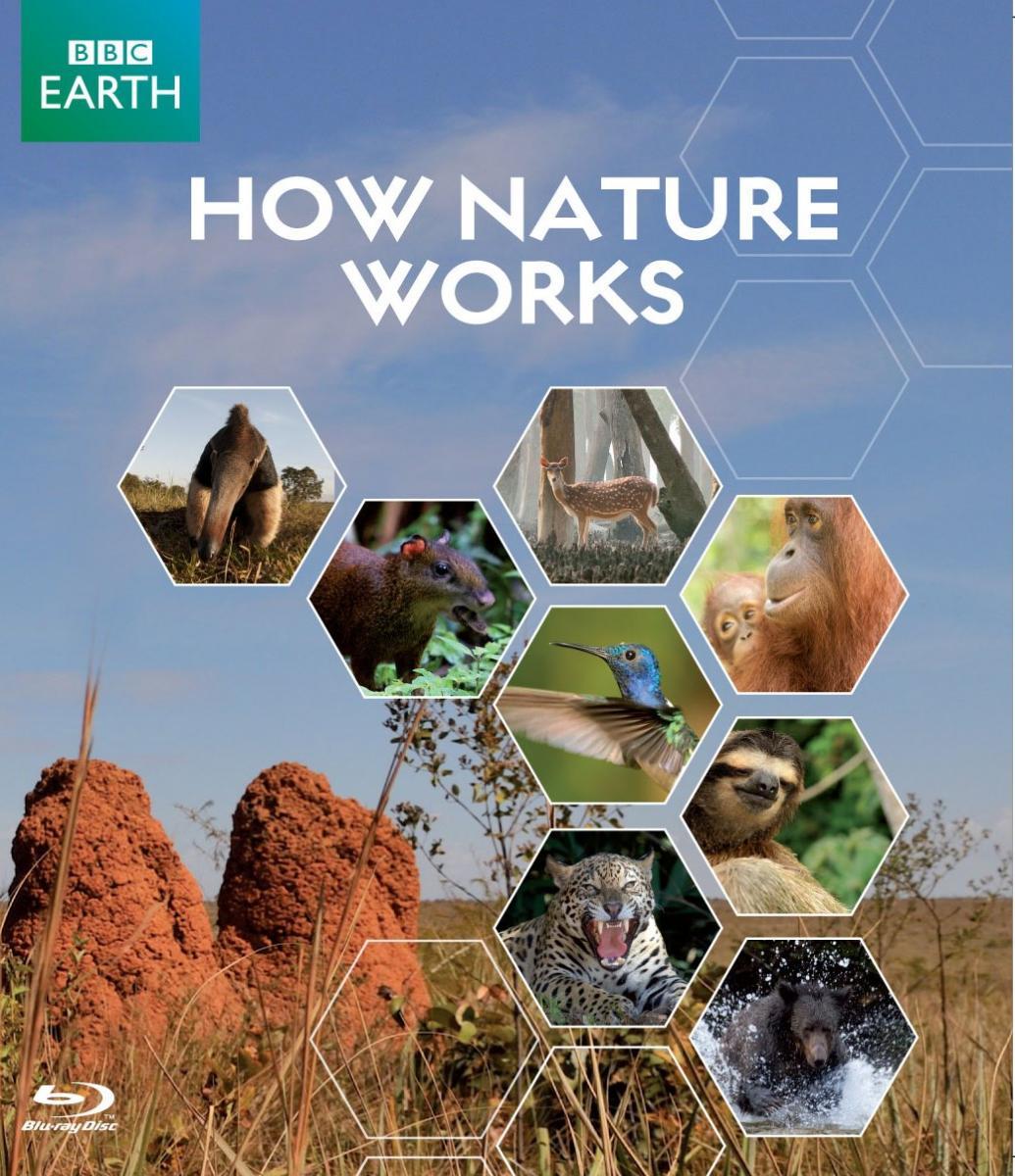 Sección visual de How Nature Works (Serie de TV) - FilmAffinity