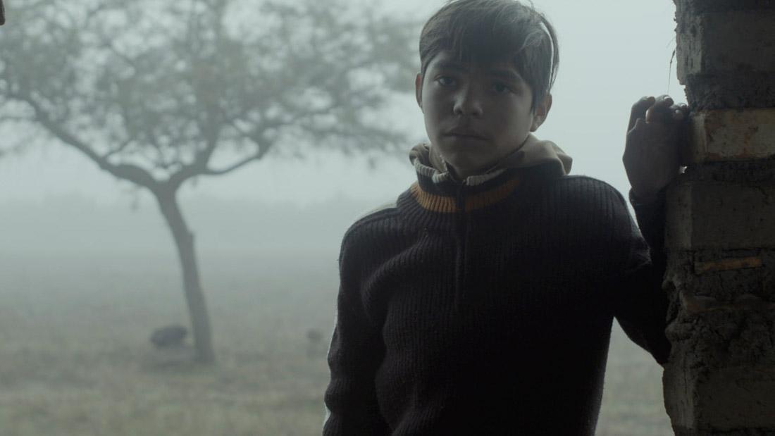 Image gallery for Identifying Features - FilmAffinity