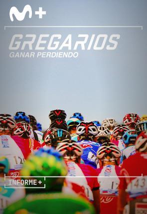 Sección visual de Informe+. Gregarios, ganar perdiendo (TV) - FilmAffinity