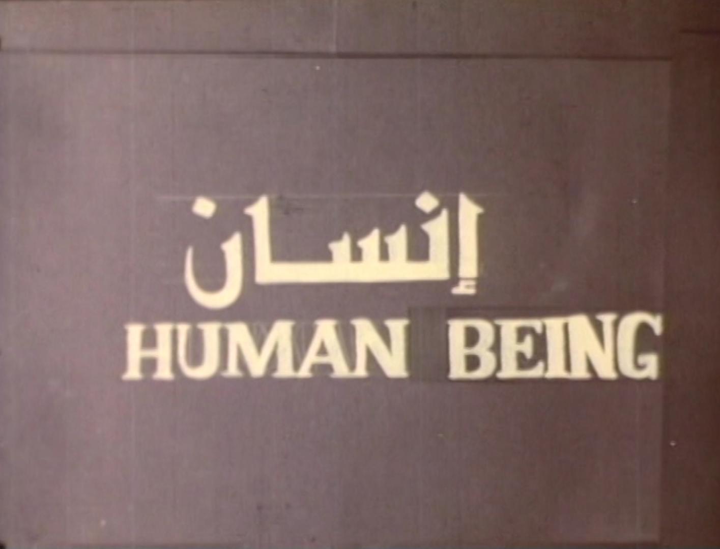 Sección visual de Insan - FilmAffinity