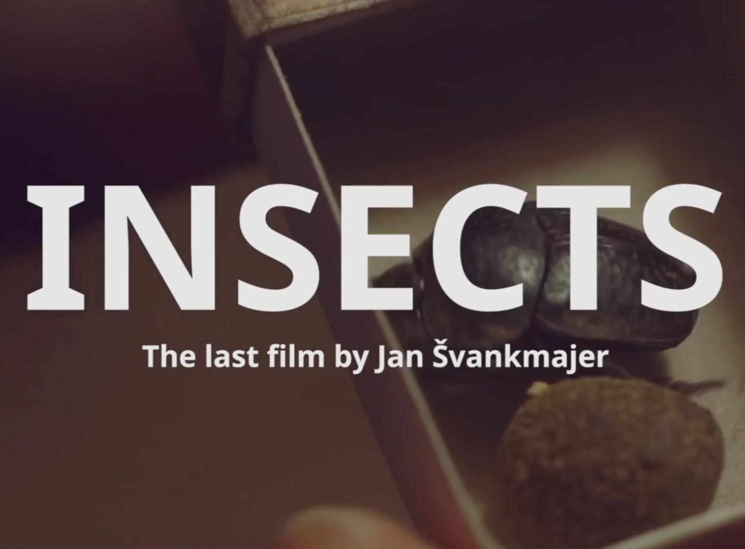 Image gallery for Insect - FilmAffinity