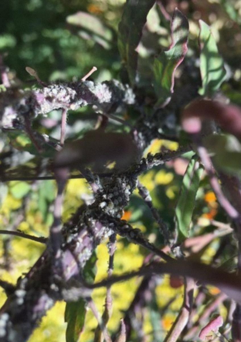 Image gallery for Interval (S) - FilmAffinity