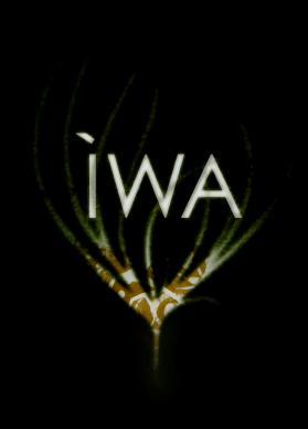 Image gallery for Iwa (S) - FilmAffinity