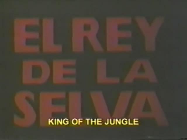 Image gallery for King of the Jungle (S) - FilmAffinity