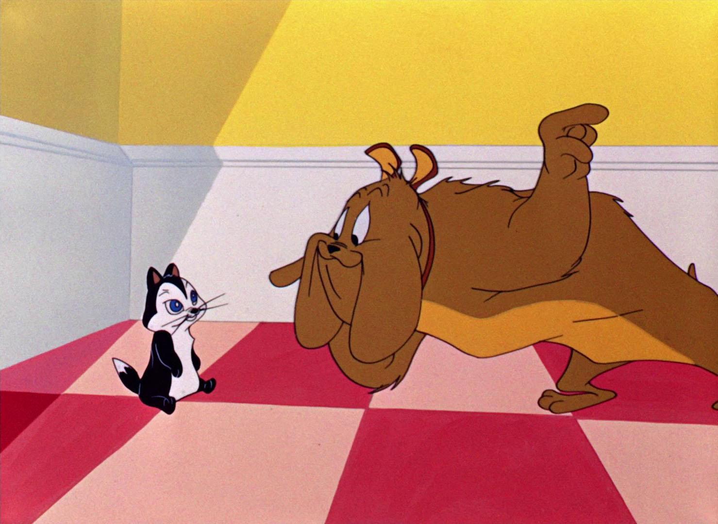 Sección visual de Kiss Me Cat (C) - FilmAffinity