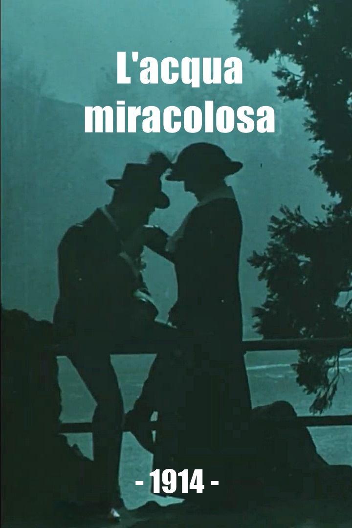 Sección visual de L'acqua miracolosa (C) - FilmAffinity