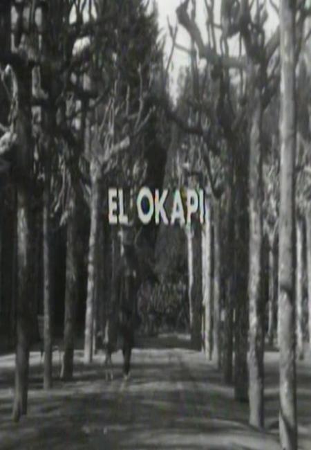 Image gallery for La comedia: El okapi (TV) - FilmAffinity