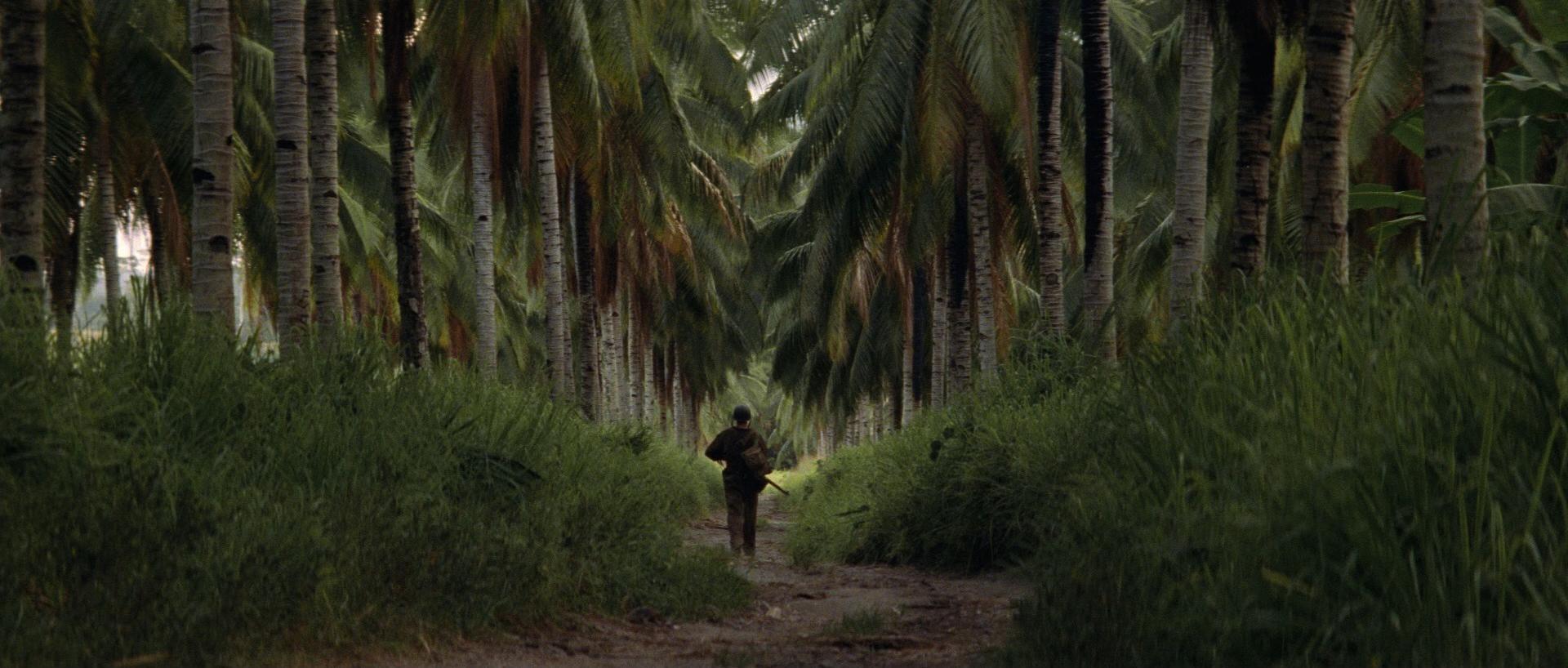 Sección visual de La delgada línea roja - FilmAffinity
