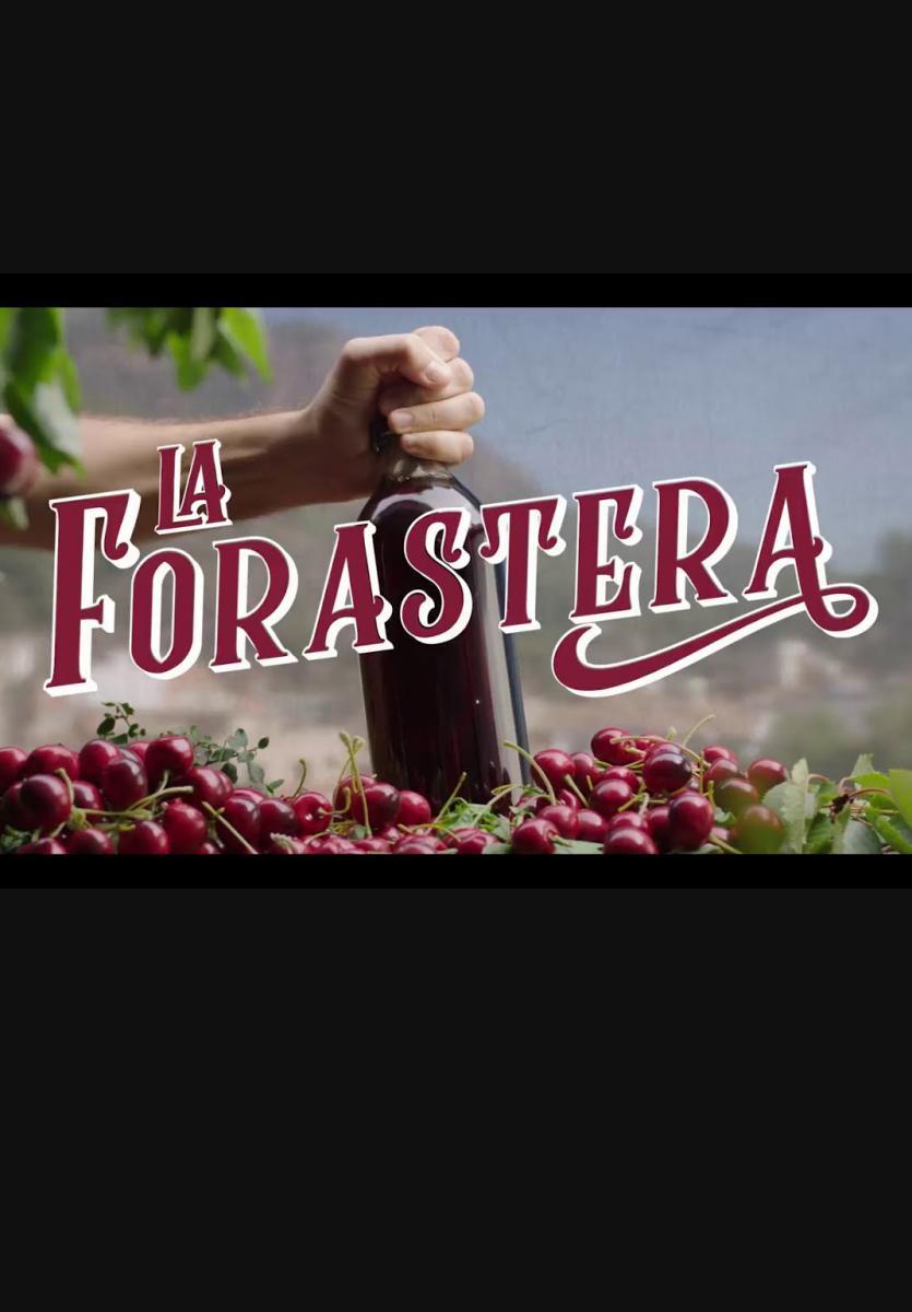 Sección visual de La forastera (Serie de TV) - FilmAffinity