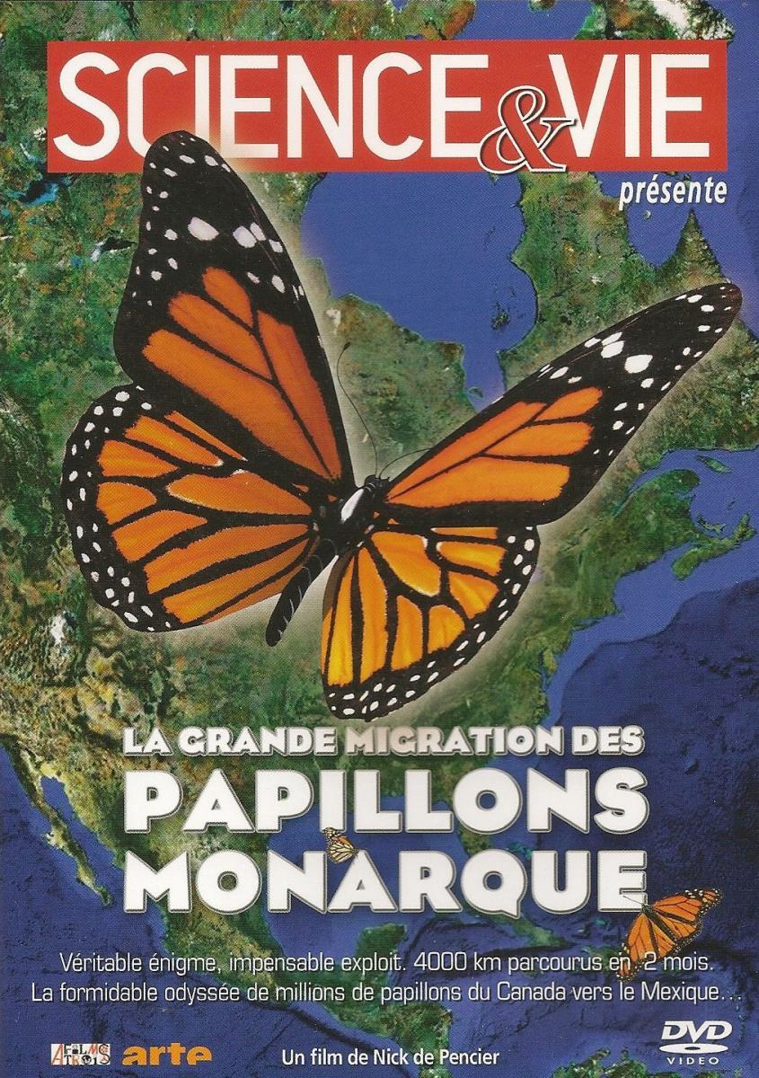 Image gallery for La grande migration des papillons monarque (TV) (TV ...