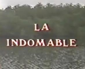 Sección visual de La indomable (Serie de TV) - FilmAffinity
