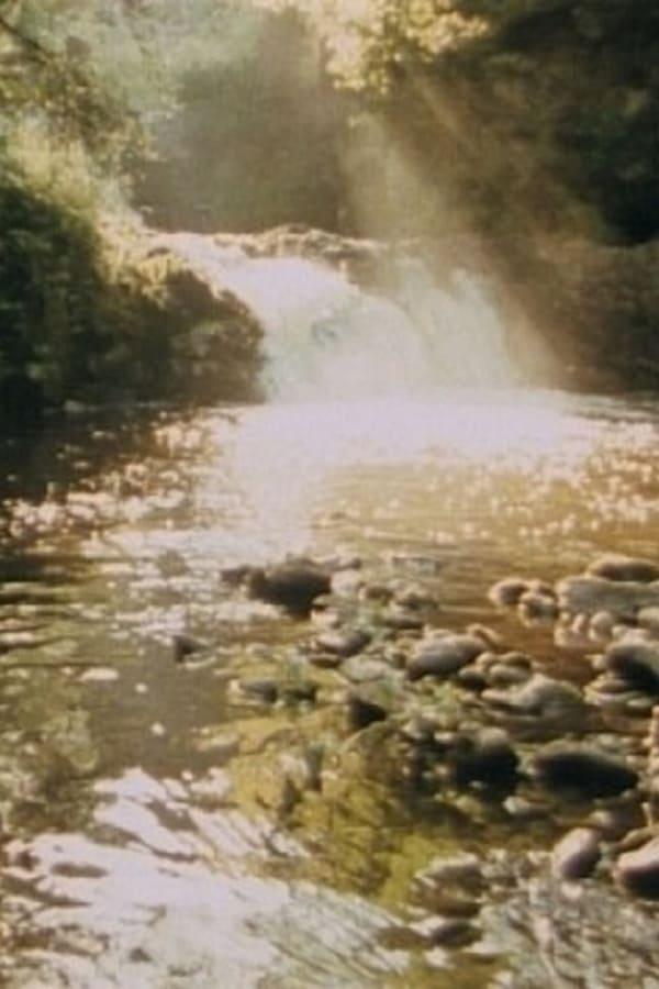 Image gallery for Landscape - FilmAffinity