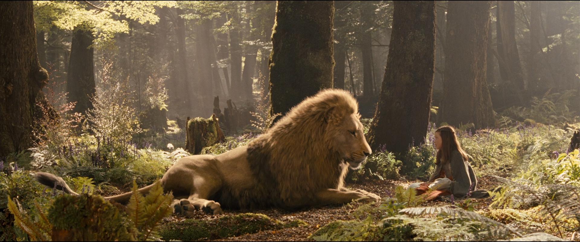 Sección visual de Las crónicas de Narnia: El príncipe Caspian ...
