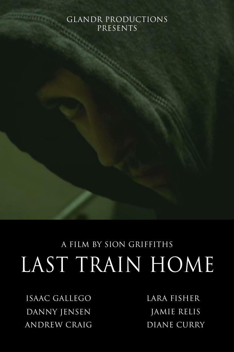 Sección visual de Last Train Home (C) - FilmAffinity