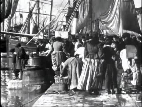 Sección visual de Le Marché aux poissons (C) - FilmAffinity