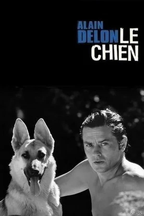 Sección visual de Le chien (TV) - FilmAffinity