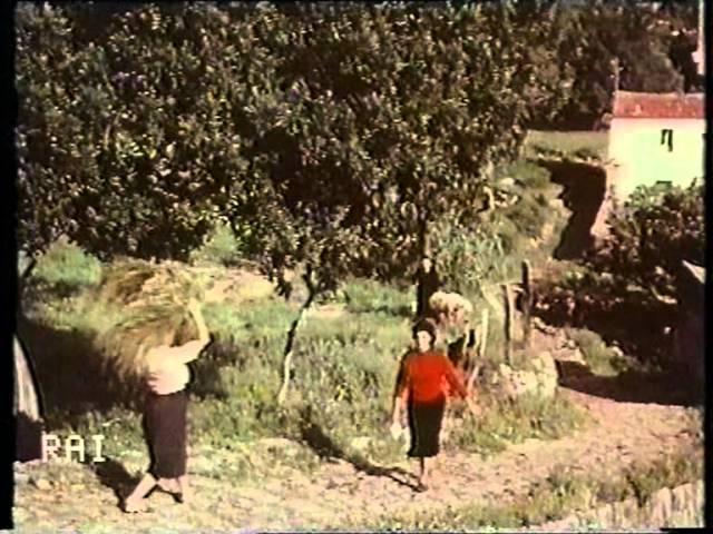 Sección visual de Le donne di Acquafredda (C) - FilmAffinity
