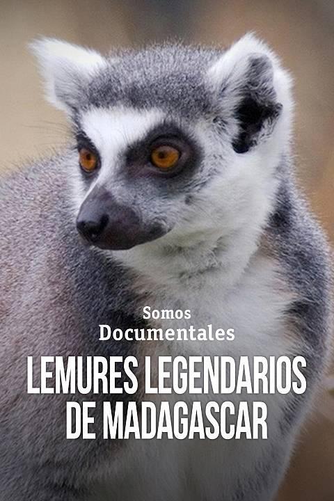 Sección visual de Lemures legendarios de Madagascar - FilmAffinity