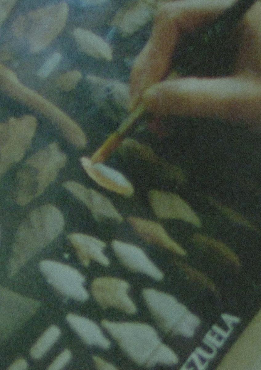 Sección visual de Levantamiento de una isla (C) - FilmAffinity