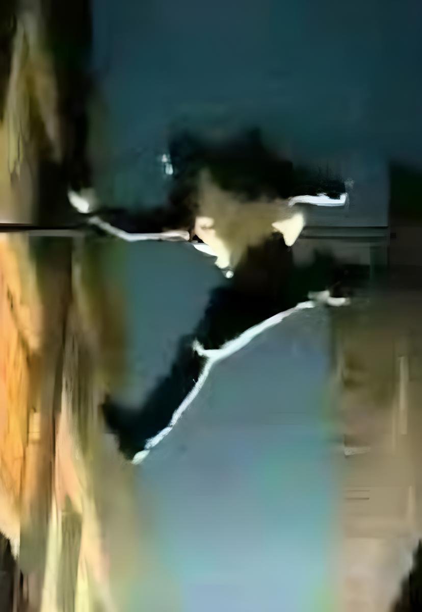 Sección visual de Levi's: The Chase (C) - FilmAffinity