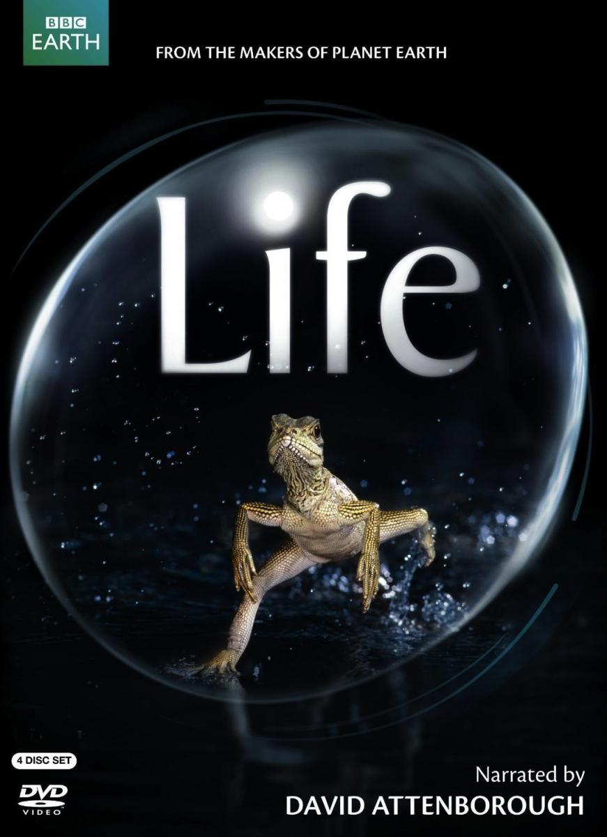 Críticas de Life (Serie de TV) (2009) - FilmAffinity