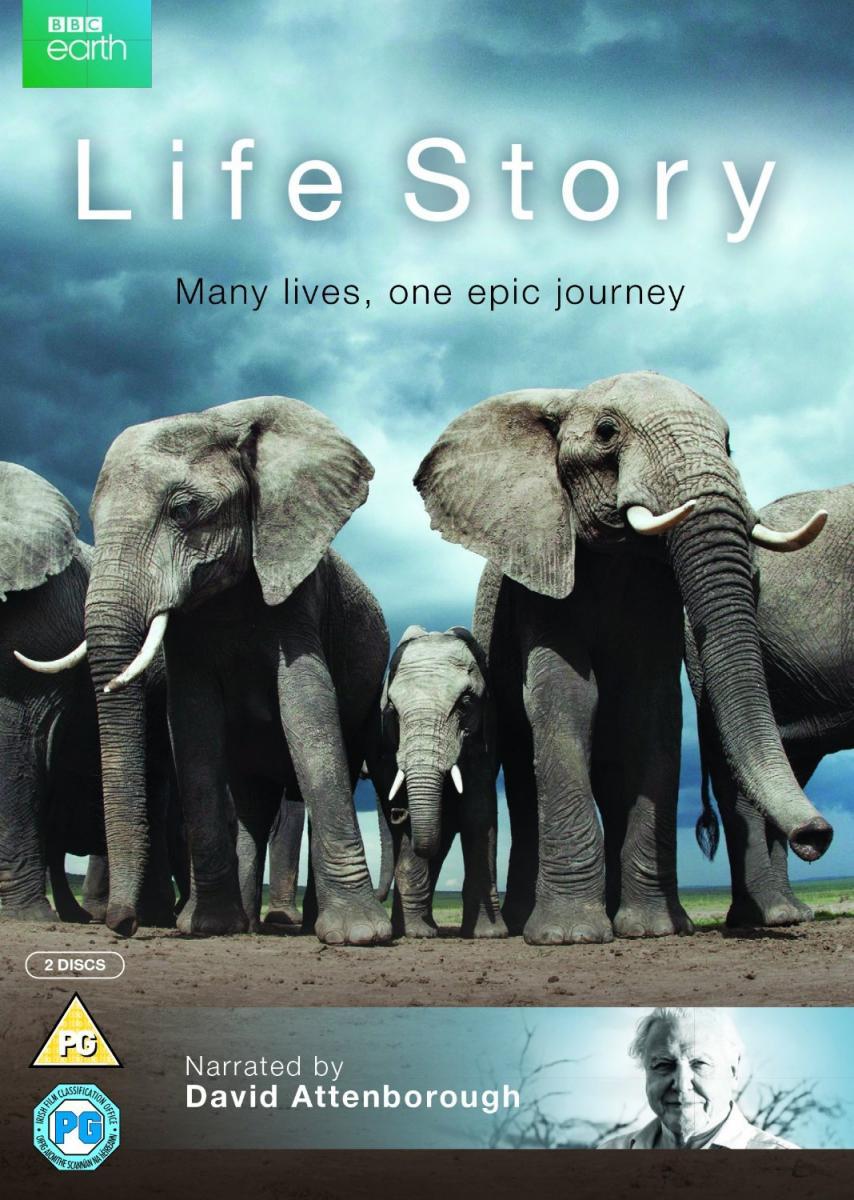 Image gallery for Life Story (TV Miniseries) - FilmAffinity