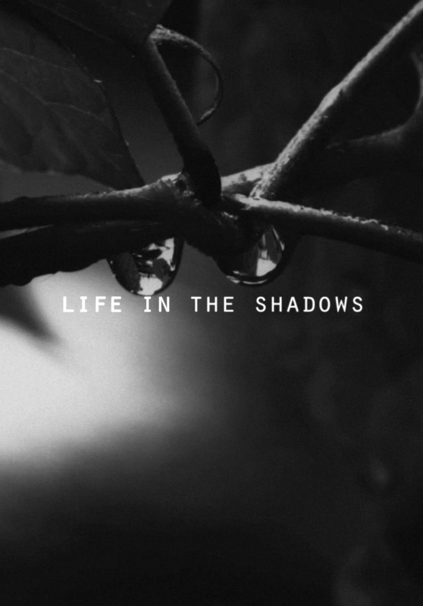 Image gallery for Life in the Shadows (S) - FilmAffinity