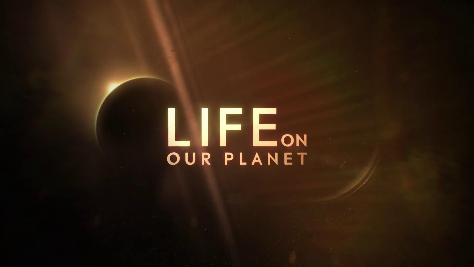 Image gallery for Life on Our Planet (TV Series) - FilmAffinity